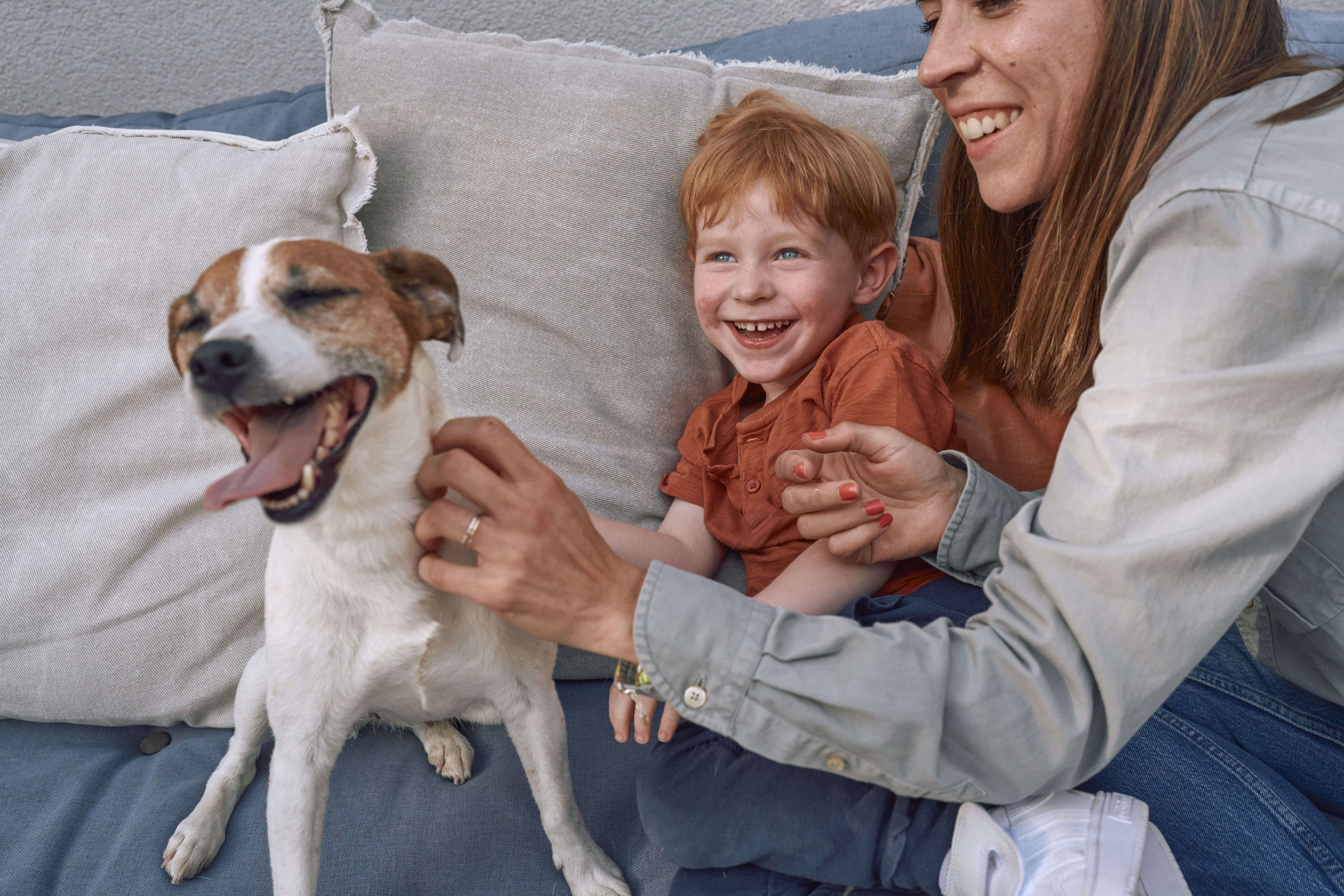 BOEHRINGER INGELHEIM ANIMAL HEALTH